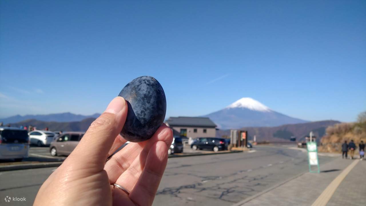 [Mount Fuji, Hakone, Kamakura, and Enoshima Day Trip] Pirate Ship ...